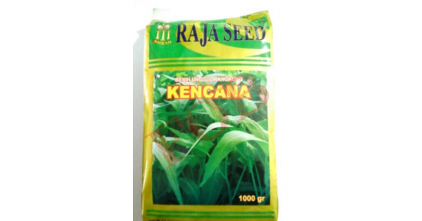 Jual Benih Raja Seed Kangkung Kencana 1000gr - Web: SentraTani.com