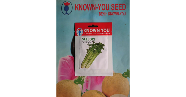 Jual Seledri Batang Besar TALL UTAH - Web: SentraTani.com